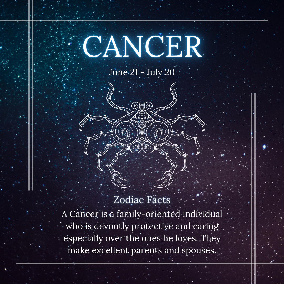 Zodiac moth facts 60 photos - Youhoroscope.com