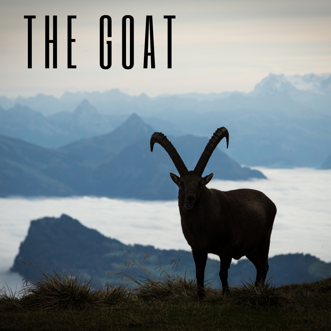 The Goat – Moth to a Flame Candle Company